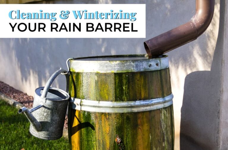 Cleaning & Winterizing Your Rain Barrel